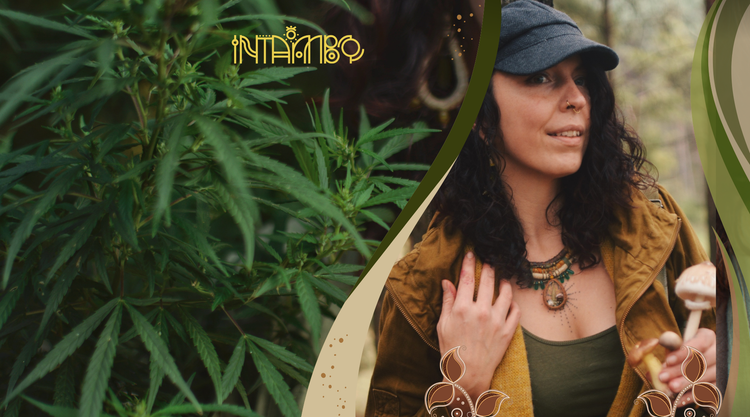 Intambo – Intambo Jewelleries